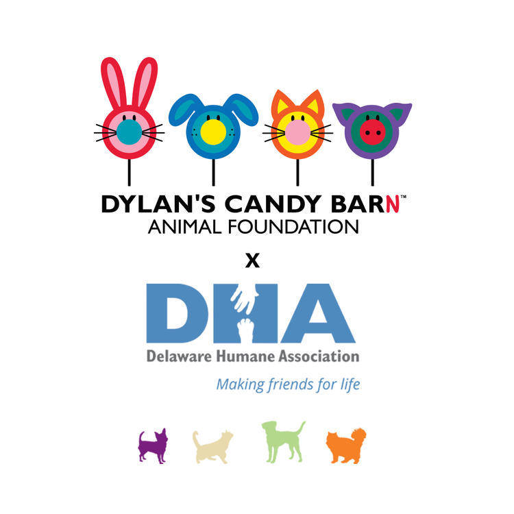 Behind The Scenes with Delaware Humane Association - Dylan's Candy Bar