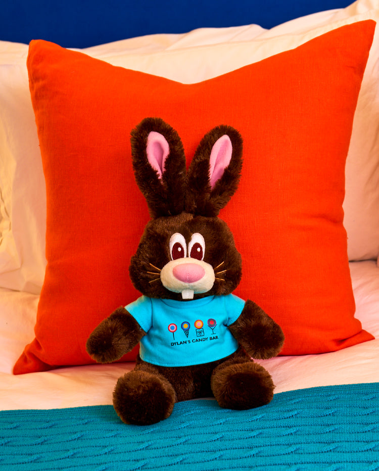 Brown Bunny Stuffed Animal | Brown Plush Bunny - Dylan's Candy Bar