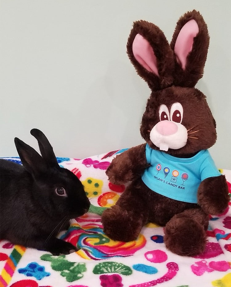 Brown Bunny Stuffed Animal | Brown Plush Bunny - Dylan's Candy Bar
