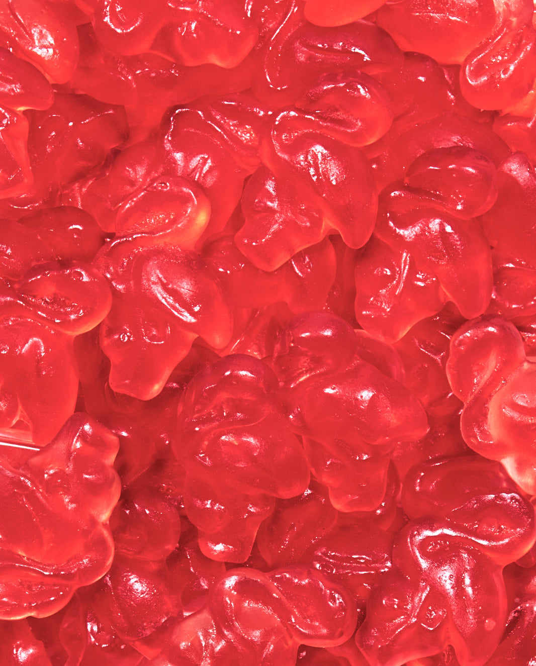 Bulk Gummy Candy | Gourmet Gummy & Jelly Candy | Dylan's Candy Bar ...